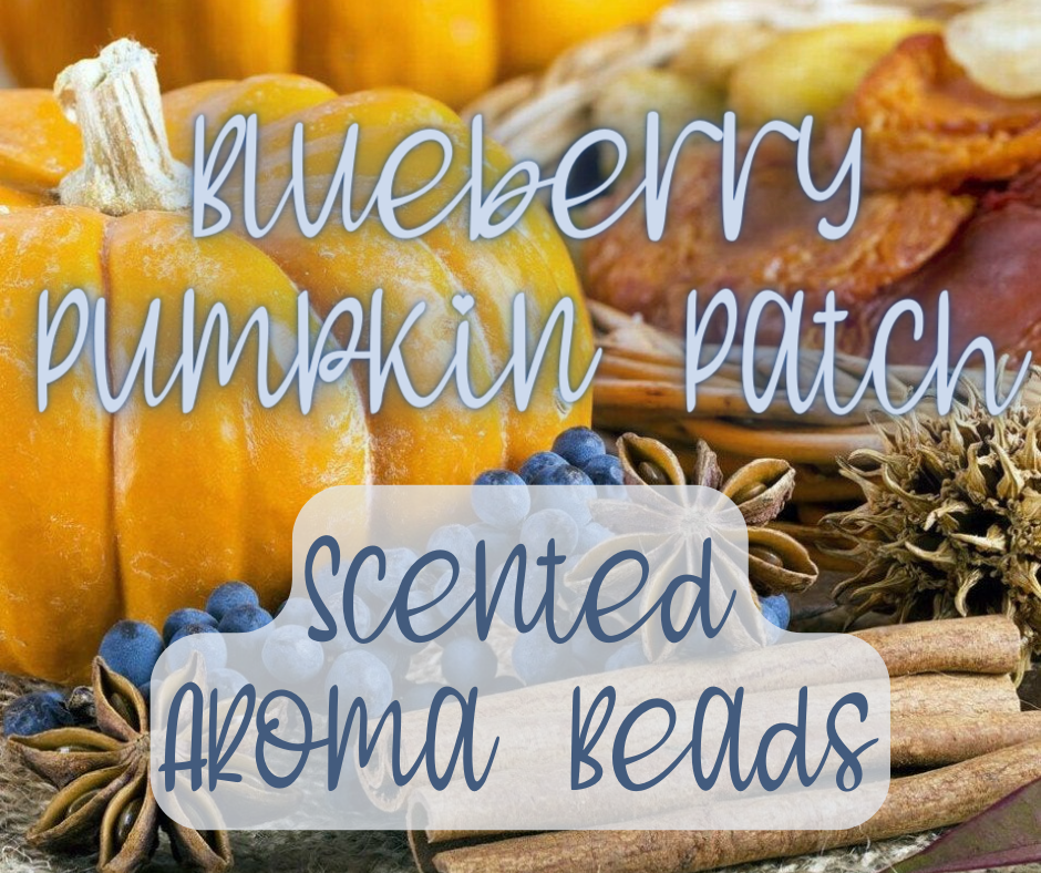 Blueberry Pumpkin Patch Premium Scented Beads – GlitznGlam7
